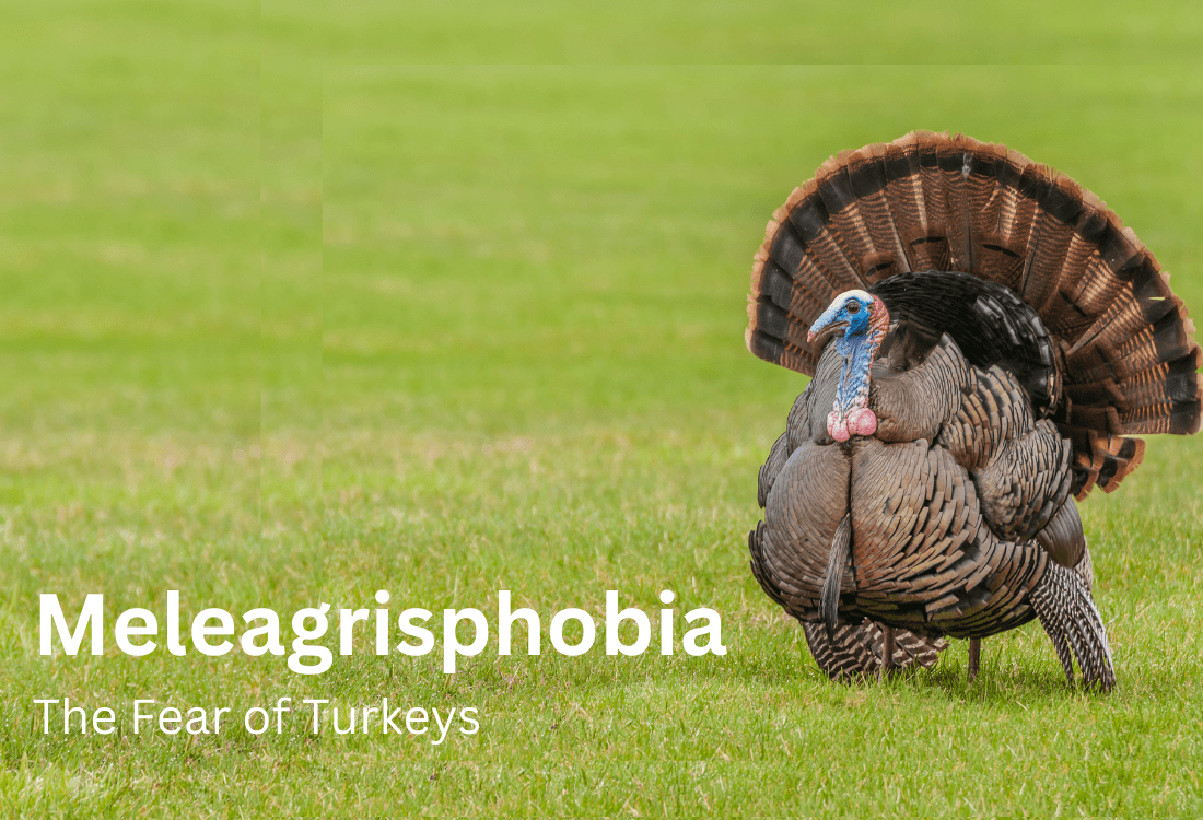 10 Christmas Phobias You Probably Never Knew Existed